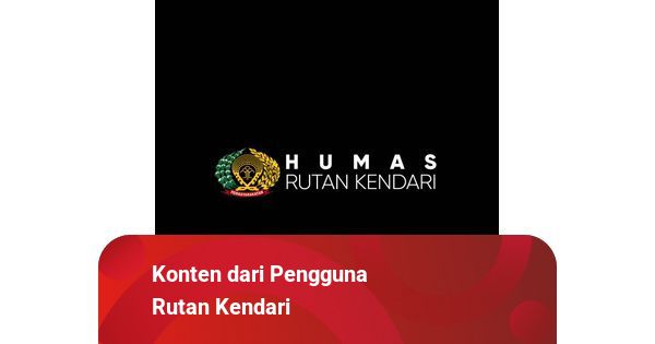 Rutan Kendari Diinspeksi Dinas Kesehatan Kota Kendari | kumparan.com